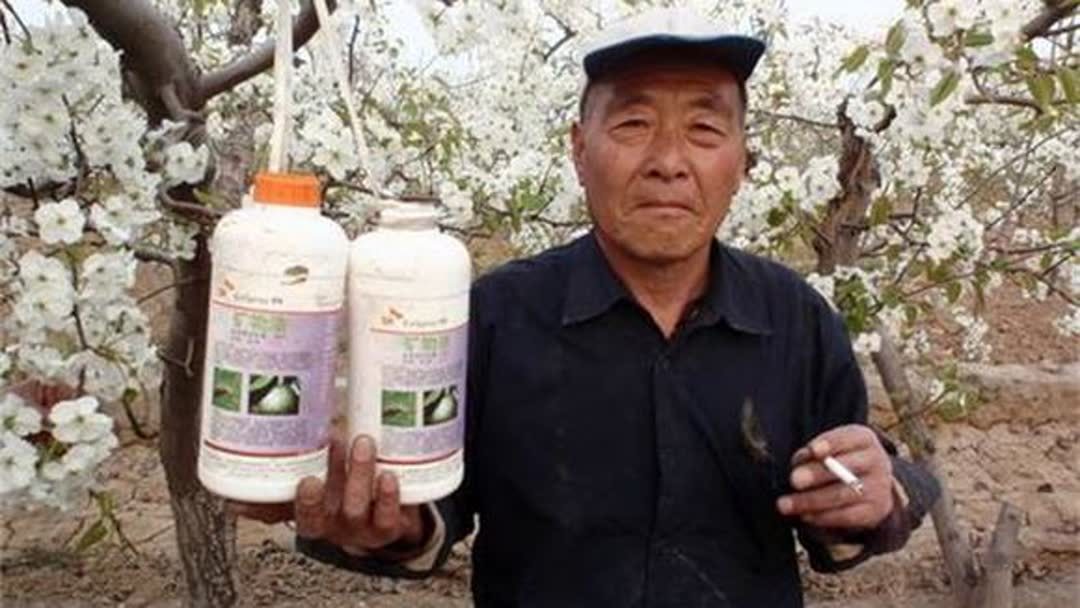农药界的万金油,矿物油,真的可以傻瓜式用药吗?