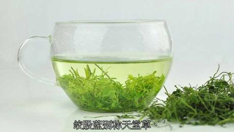 绞股蓝泡水喝的功效