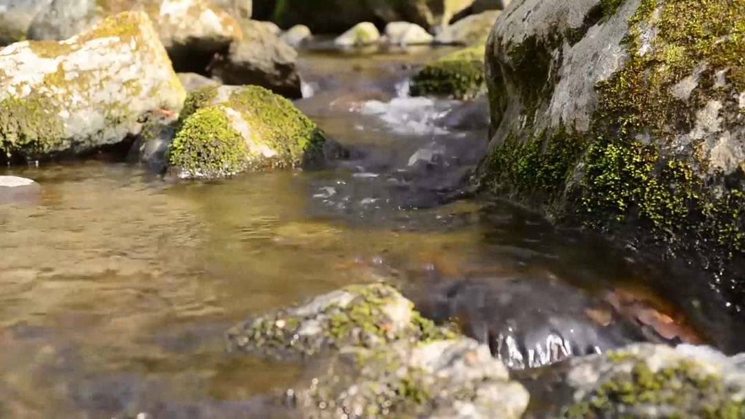 实景定格动画,溪水缓缓的流动着,流水声成为了一首美妙的歌曲
