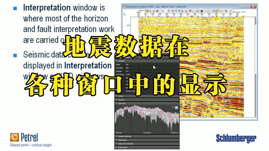 petrel学习第12天:地震数据在各种窗口中的显示(讲解)