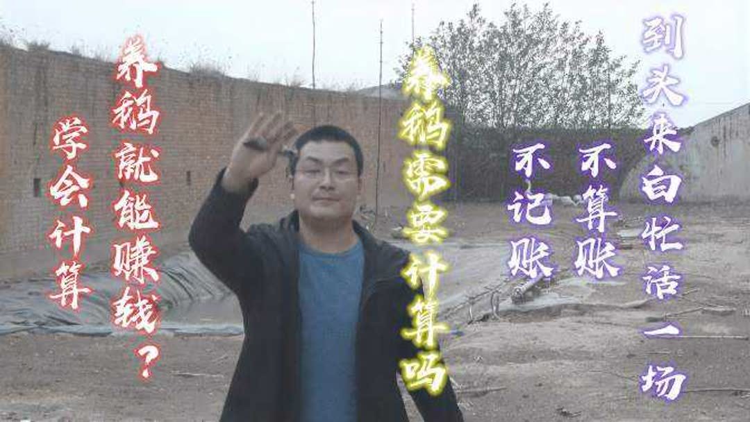 养鹅真的不要计算吗,只有精确计算鹅群价值,才能让我们利润倍增