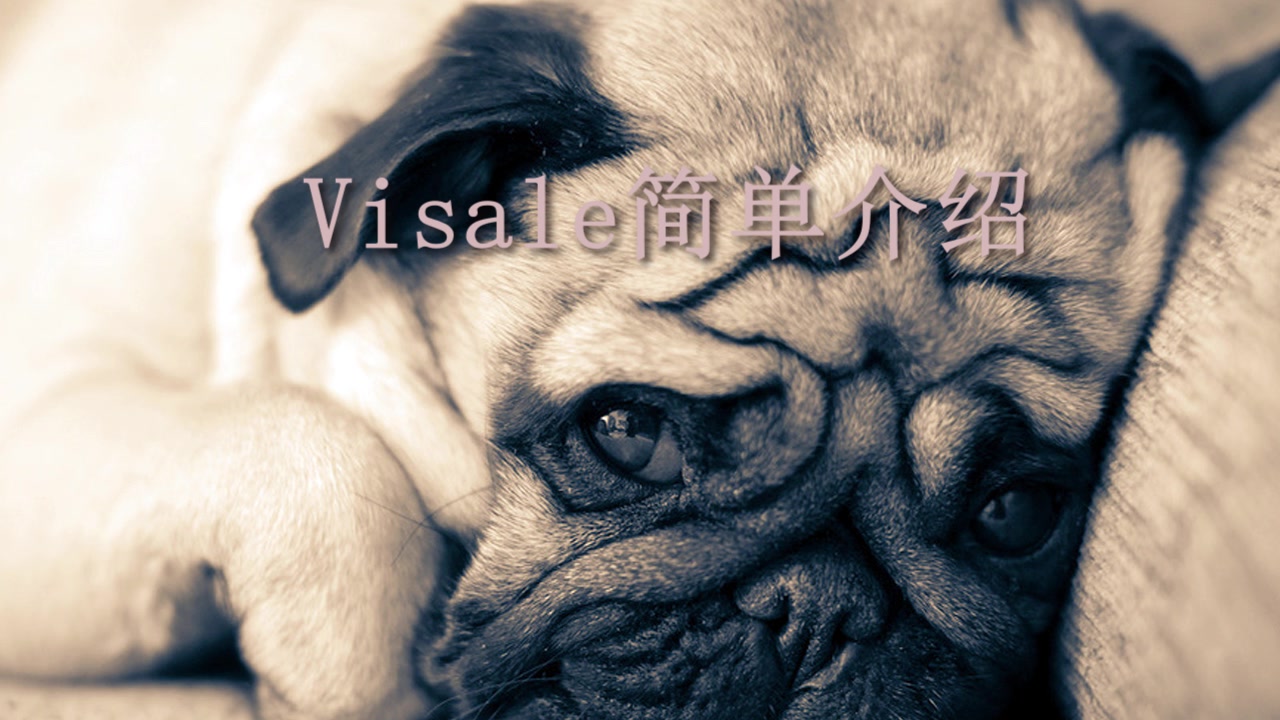 [蒙彼大学联干货]在法国租房如何进行visale担保申请