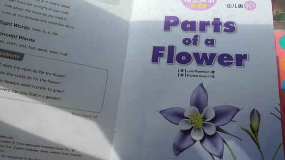 英文绘本:Parts of a Flower