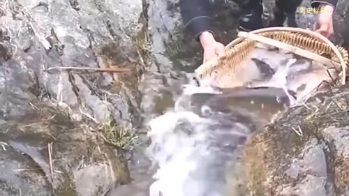 这个才是农民的真实生活,拿着簸箕放在流水口就有鱼吃了,好羡慕啊!