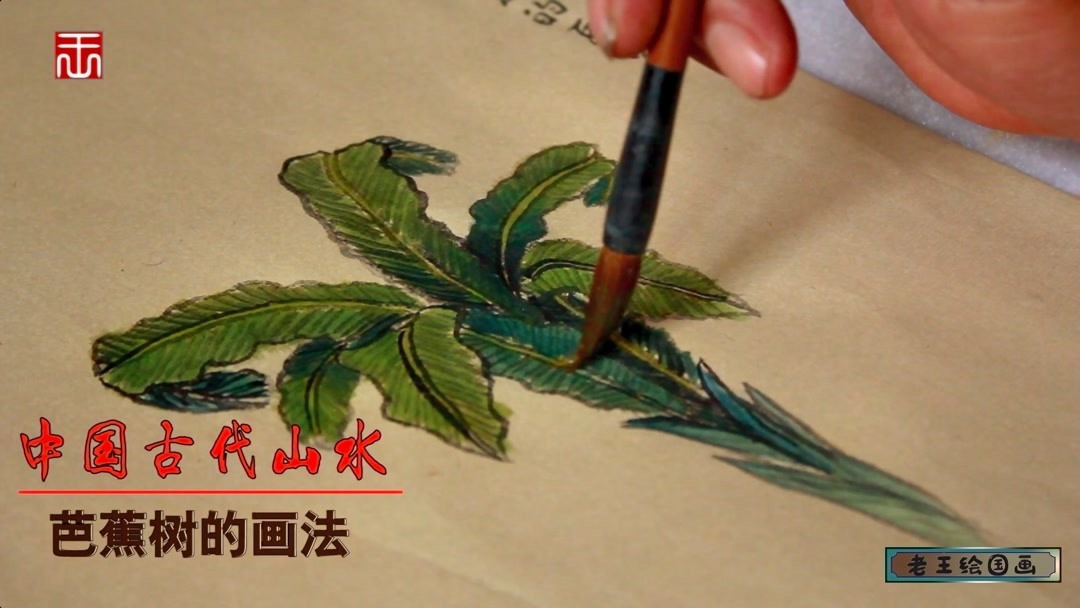 山水国画:芭蕉树的画法,国画轻轻松松就能学会