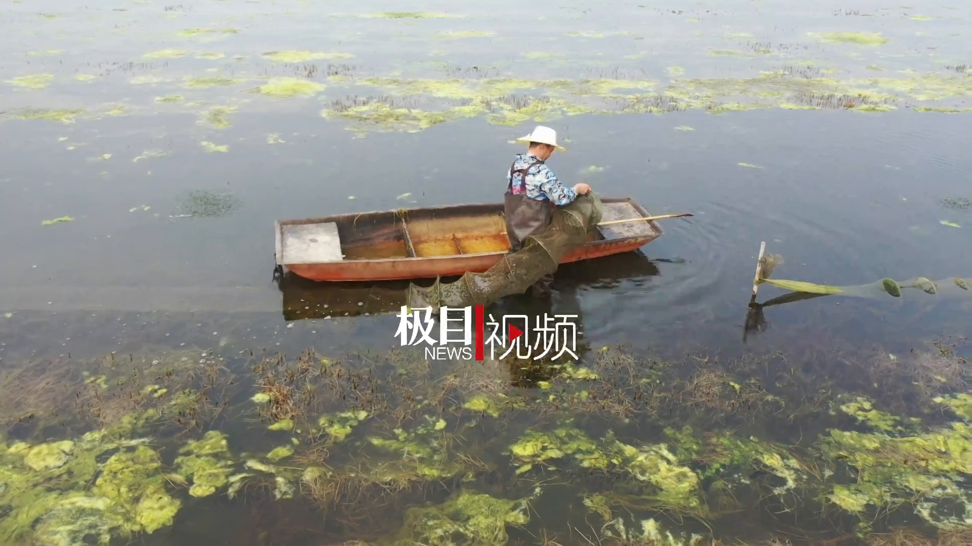 江陵县强化农技管理,让虾稻种养实现双丰收