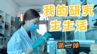 实拍研究生实验室生活,忙活一上午,连水都没时间喝!