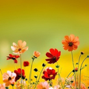 在一个瞬息万变的世 