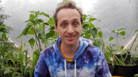 200棵植物能维持一个人呼吸多长时间?老外作死体验,差点脑死亡