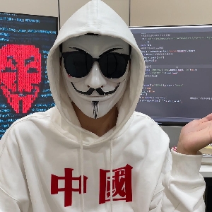 程序员老陆 