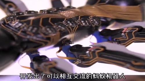 科幻发明,可以相互交流协作的机械蚂蚁