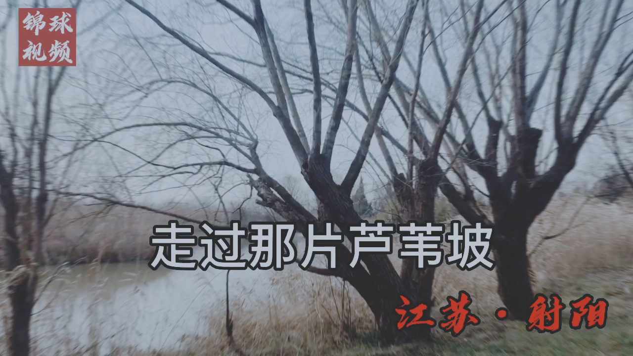 一个真实的故事…