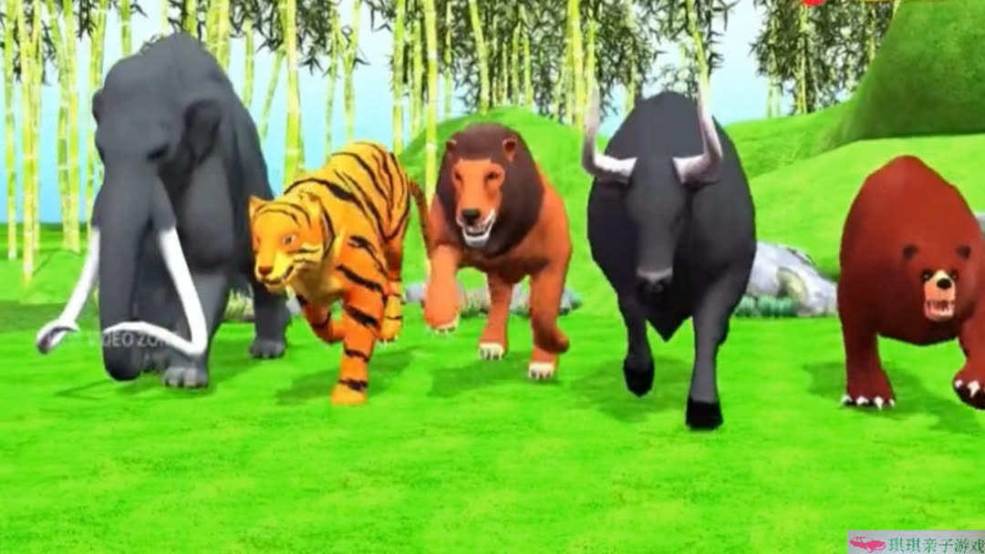 益智亲子早教动物动漫 学习认识各种野生动物名称