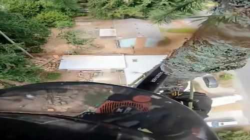 这种砍树的方式,也是第一次见,看得我心惊胆战