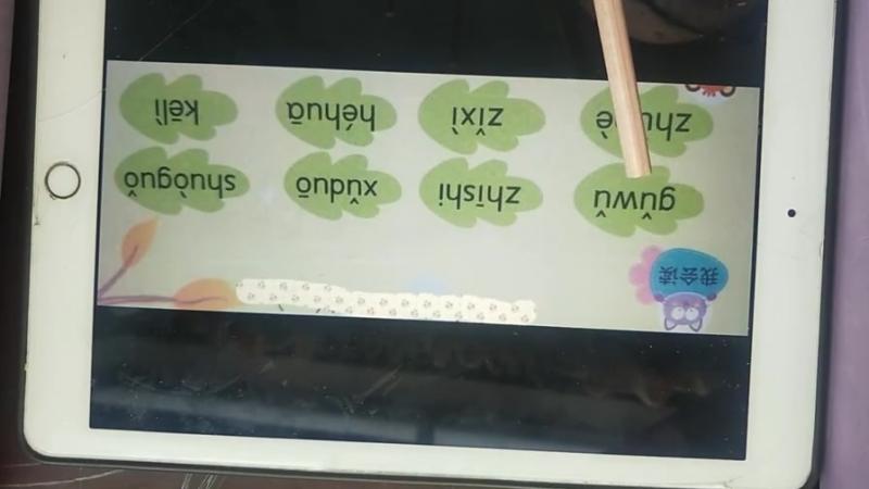 拼音声母和单韵母