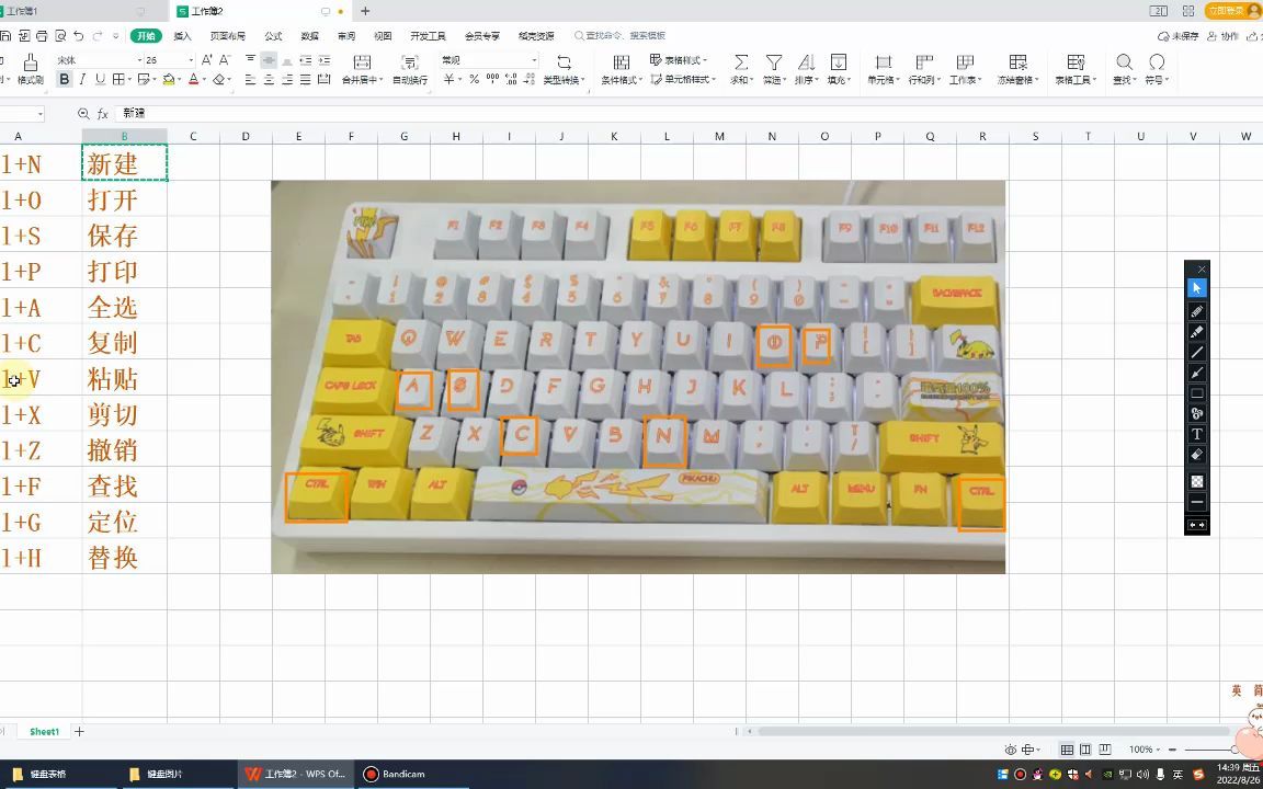 电脑办公excel表格应用技巧,这些快捷得会,电脑入门常识