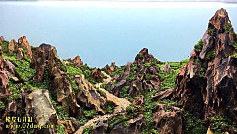 07day造景 水草缸 松皮石开缸