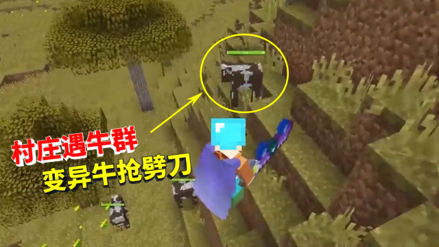 我的世界联机第七季233:找皮革修复鞘翅,变异牛抢我劈刀