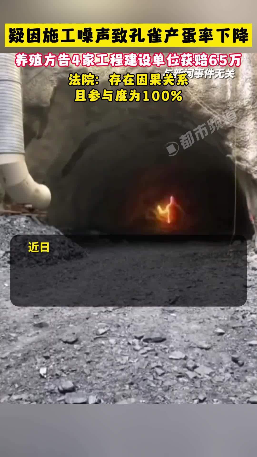 疑因施工噪声致孔雀产蛋率下降,养殖告工程建设单位获赔65万