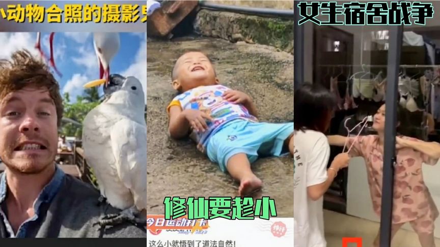 女生宿舍打架就打架,你拍阳台干嘛?让我静静的心情都没了