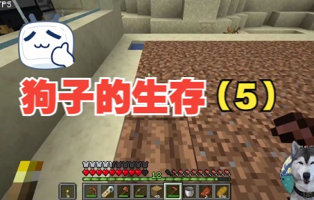 【我的世界】1.18.1实现自动农田,自动树场,自动骨粉