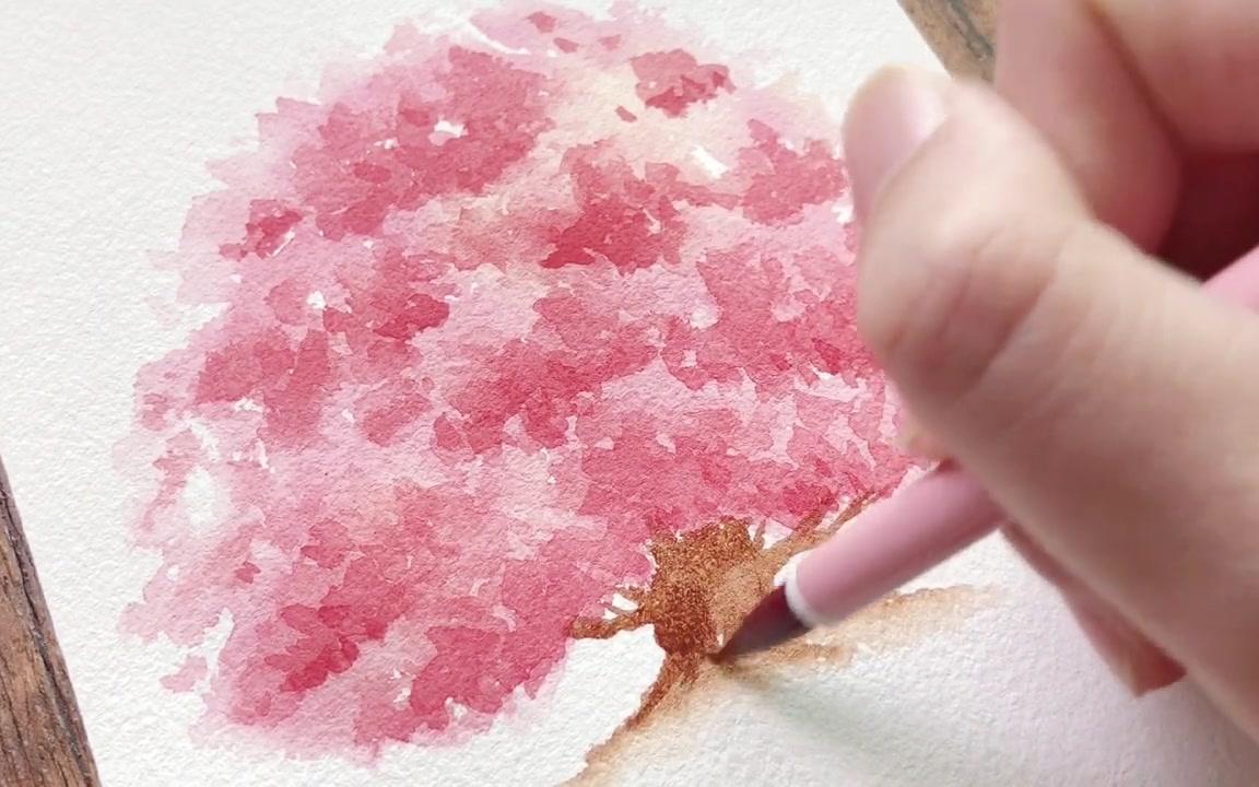 水彩教程樱花树,春暖花开水彩 画画 植物花卉手绘樱花限定