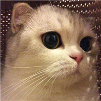 小阳带你变形记 