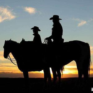 小辉的生活日记 