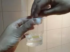家庭条件下粗提取DNA