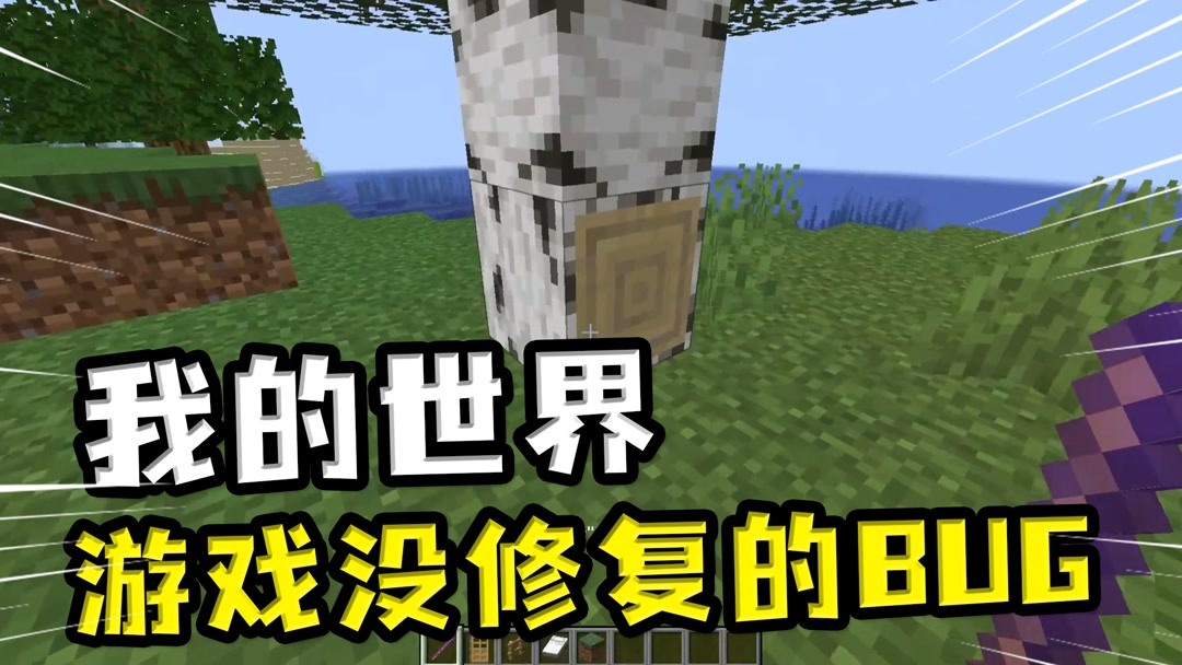 我的世界:游戏没修复的BUG,书写满100页,别人捡到就掉线