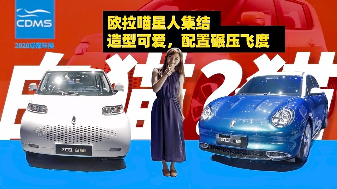 是不是好猫撸了就知道,对比体验欧拉两只猫