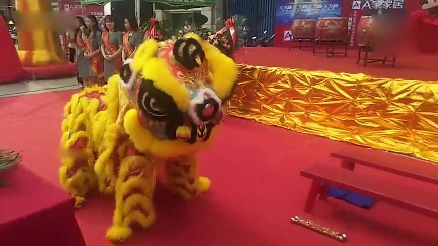 大学生暑假留校练舞狮 晚上训练白天演出