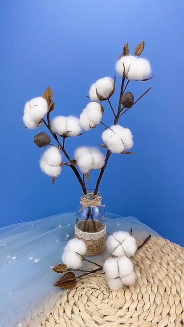 旧枕头别扔,教你做情意棉棉木棉花变废为宝,手工diy