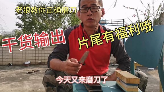 老狼告诉你什么才是正确磨刀的方法,大家学废了吗?