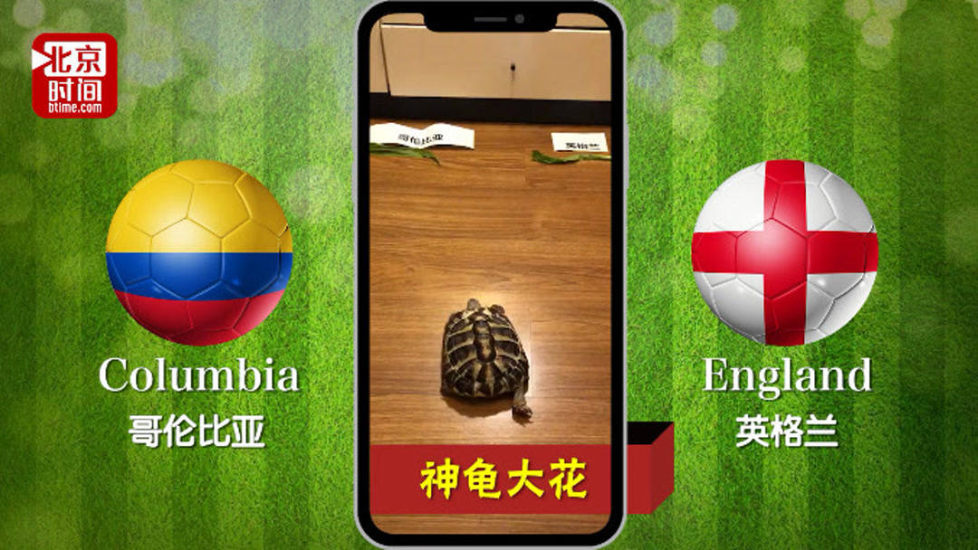 世界杯神龟疯狂预测:“三狮”变“三猫” 英格兰队跌落谷底
