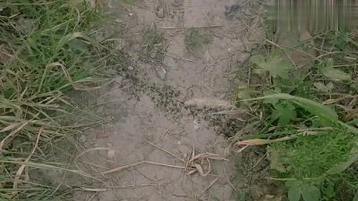 你看过吗?村上春树的《挪威的森林》第三章中:永泽出场