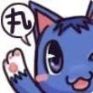 金寨小九 