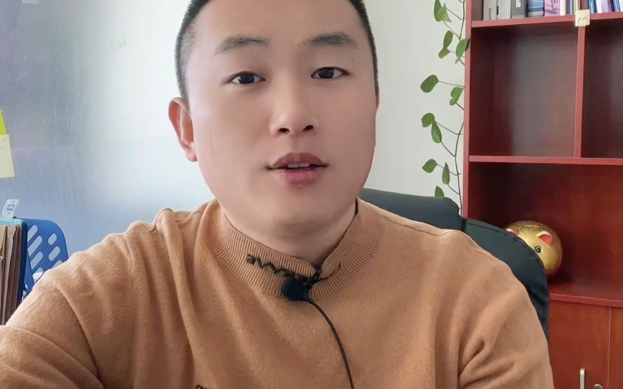 商标查询结果如何判断近似