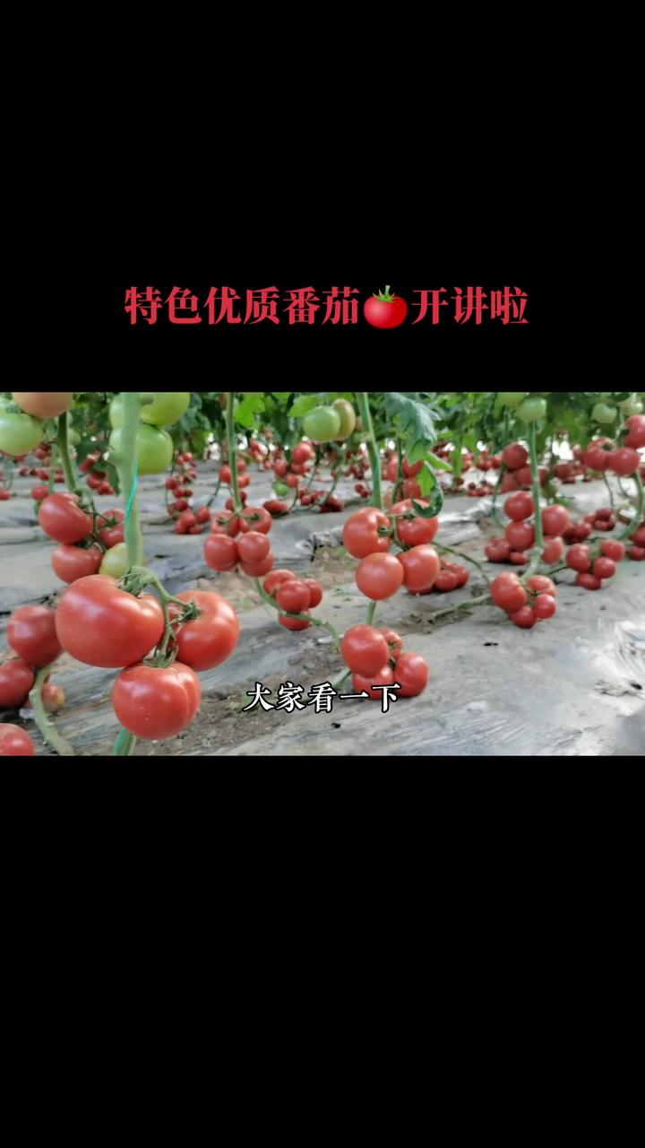 ...#支持抖音传播正能量 #支持抖音绿色平台传播正能量 #关注三农服务...