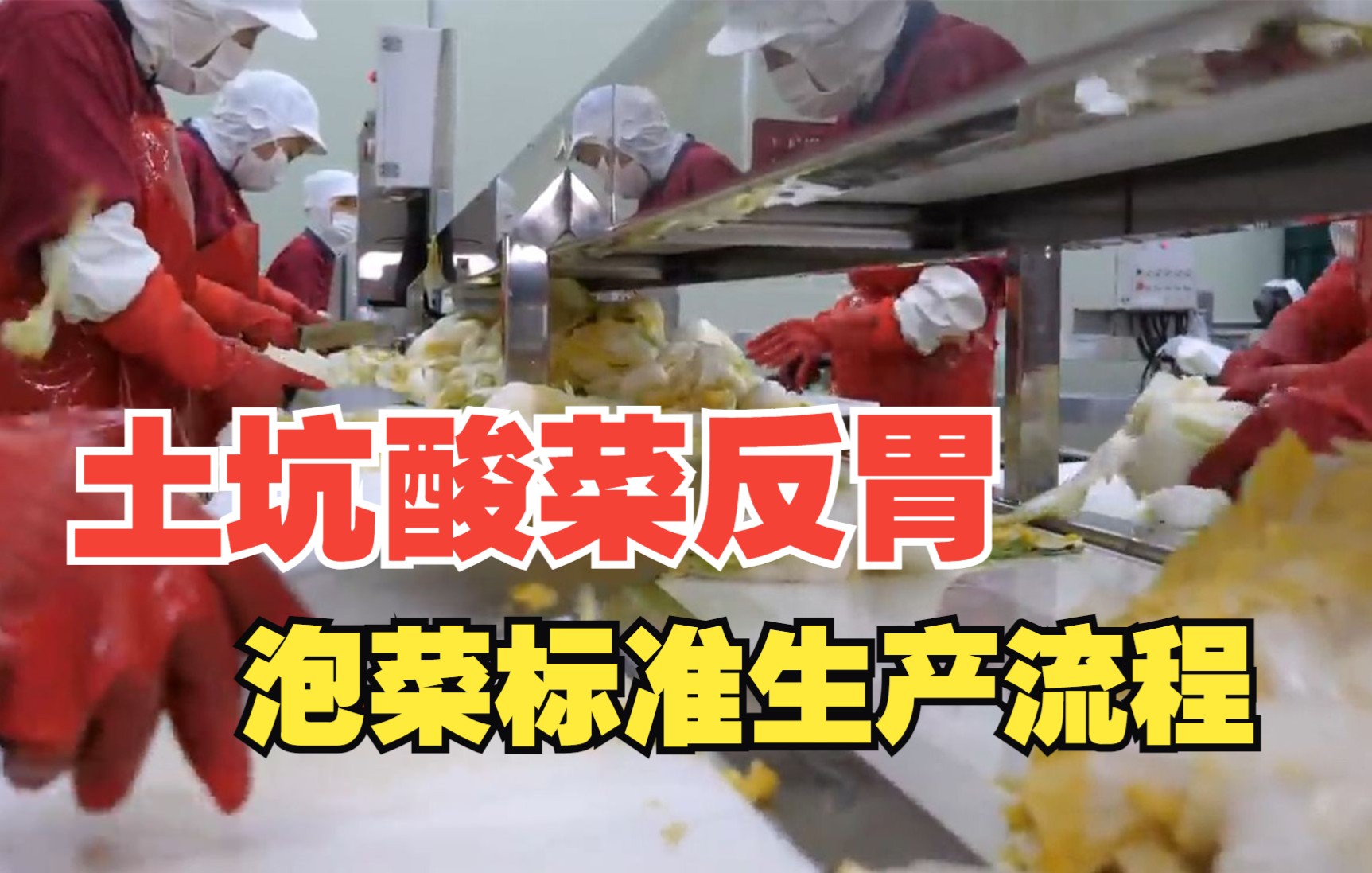 央视曝光的土坑酸菜无良商家,看看别人家的标准生产,什么才叫食品生产