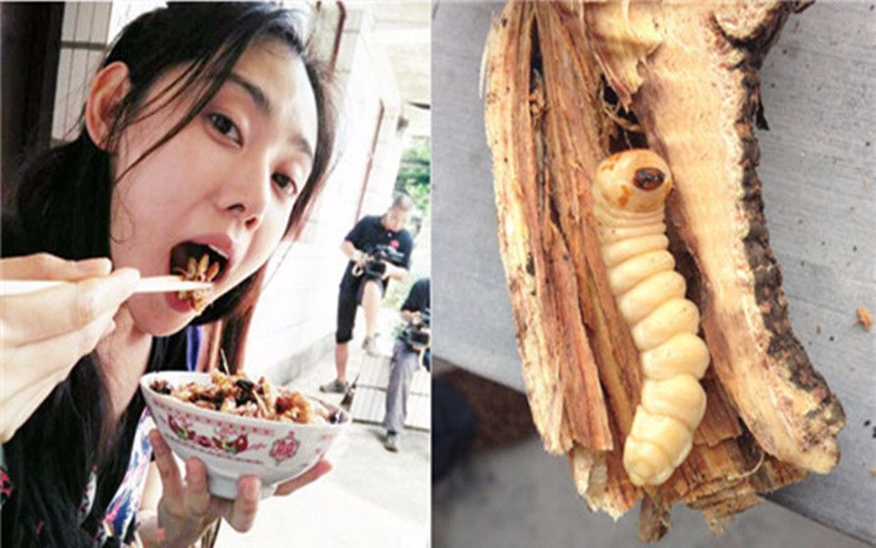 吃虫子!盘点端午节奇葩习俗