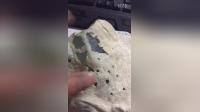 翡翠原石高冰玻璃种!老坑木那场口顶级种水翡翠赌石视频来啦!