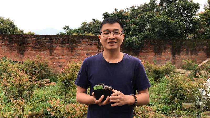 多肉植物“观音莲”,“紫牡丹”,“铁观音”,组盆栽种非常适合
