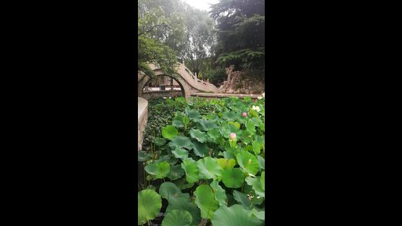 皇上还记得当年的夏雨荷吗?