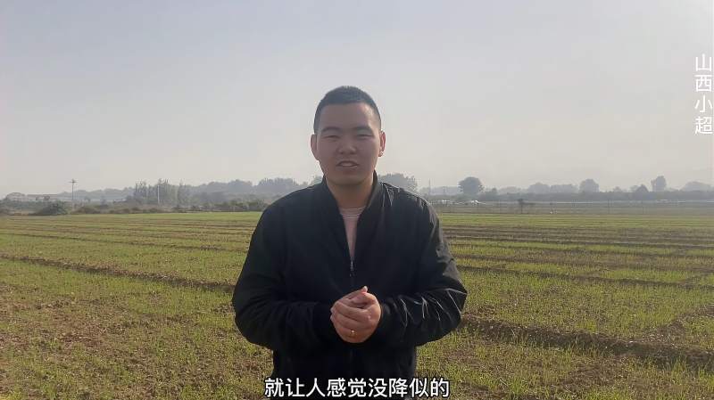 生猪价格持续下跌,猪肉价格却没多大变化,说出原因好无奈