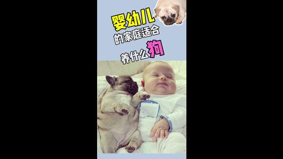 有婴幼儿的家庭适合养什么类型的狗ߐ