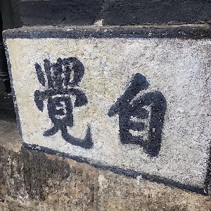 懒懒懒懒的人啊 