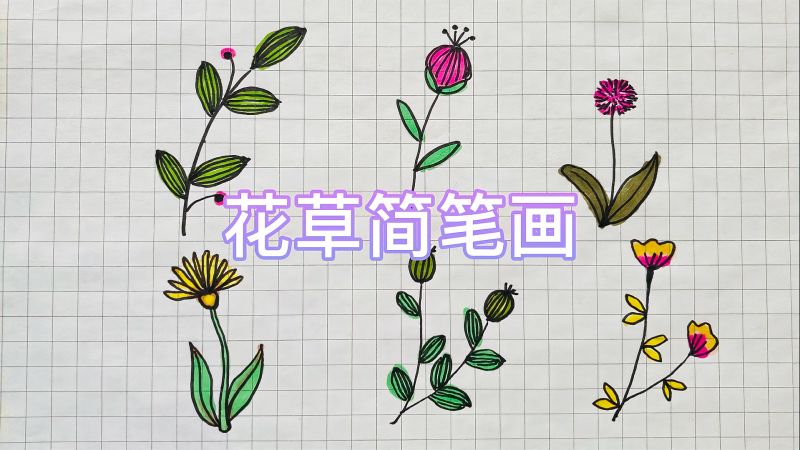 花草简笔画:简单线描花草