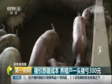 [第一时间]聚焦猪周期 猪价跌破成本 养殖户一头猪亏300元