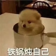 阿木丶灬 
